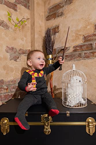 Harry Potter Newborn Baby Boys 2 Pack Zip Up Costume Sleep N' Play Coveralls Gryffindor 3-6 Months