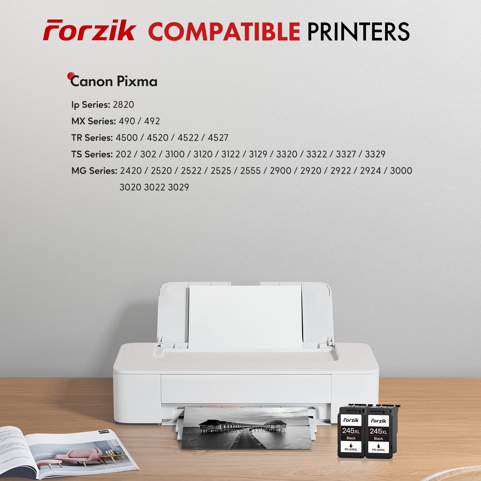 245XL Ink Cartridge for Canon PG-245XL 2 Pack, Higher Yield Compatible with Canon Pixma MX490 MX492 MG2522 TS3100 TS3122 TS3300 TS3322 TS3320 TR4500 TR4520 TR4522 MG2500 Printer