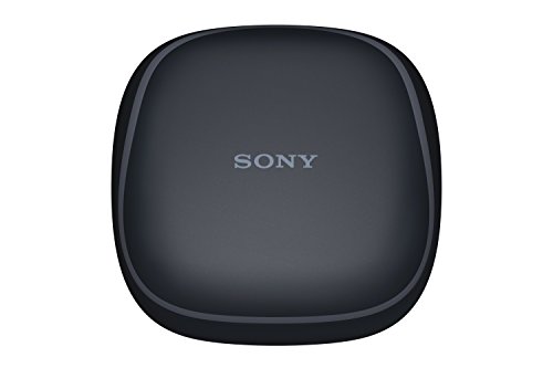 Sony SP700N Wireless Noise Canceling Sports in-Ear Headphones Black WF-SP700N/B (Renewed)