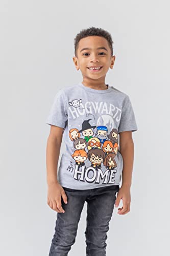 Harry Potter Big Boys 3 Pack Pullover T-Shirts Blue/Grey/Red 10-12