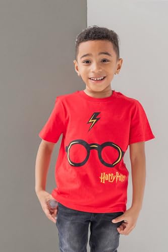 Harry Potter Big Boys 3 Pack Pullover T-Shirts Blue/Grey/Red 10-12