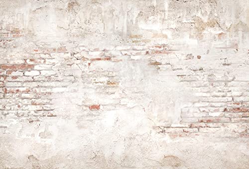 Kate 7×5ft Brick Wall Backdrop Brick Photography Backdrop Fabric Background Seamless Photo Studio Props for Video Pictures