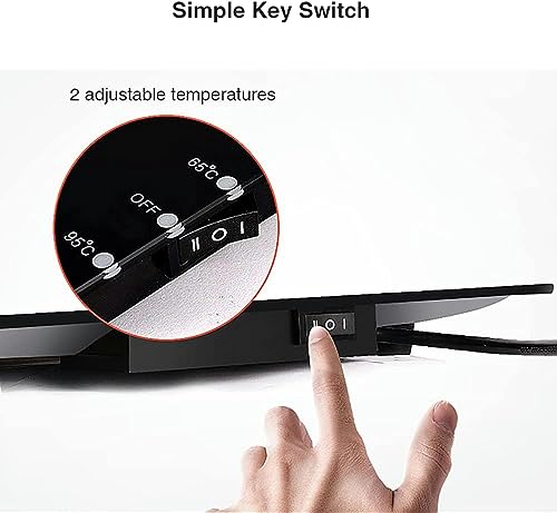 Warming Tray Hot Plate, Chafing Dish, Electric Food Warmer for Buffet Party, Kitchen Serving, Dining Room, Restaurant, with 2 Adjustable Temperature Control