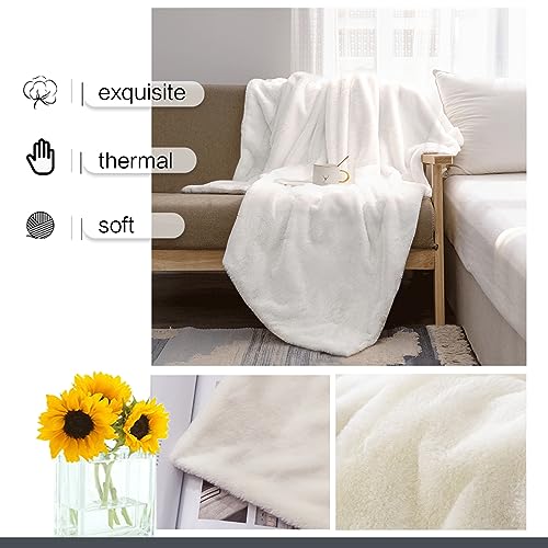 Polka Dots Throw Blanket for Couch,Titmouse Birds Pastel Friendship,Plush Fuzzy Cozy Soft Blankets and Throws for Sofa,Blue Grey Dust 50x60 Inches