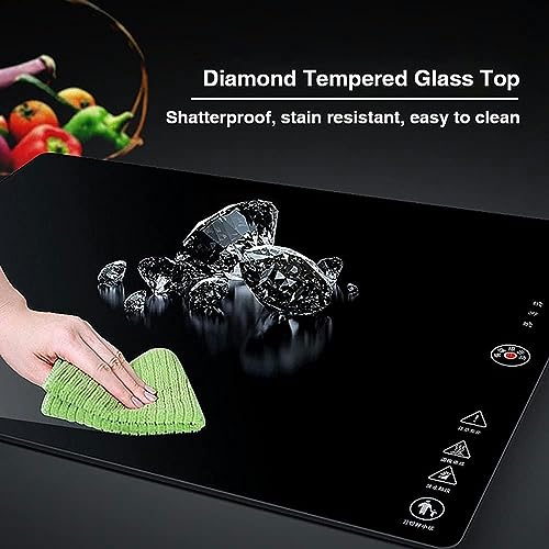 Warming Tray Hot Plate, Chafing Dish, Electric Food Warmer for Buffet Party, Kitchen Serving, Dining Room, Restaurant, with 2 Adjustable Temperature Control