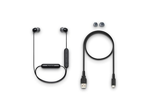 Sony WI-C300 Wireless In-Ear Headphones, Black (WIC300/B)