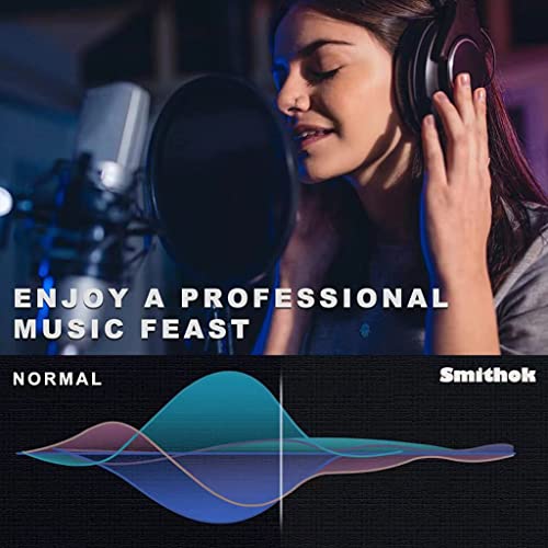 Smithok RCA Cables 3.3ft 2 Pack[Hi-Fi Sound, PVC Jacket, Shielded], 2-Male to 2-Male RCA Audio Stereo Subwoofer Cable Auxiliary Cord for Home Theater,Amplifiers,HDTV,Hi-Fi Systems,Speakers