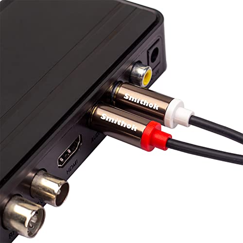 Smithok RCA Cables 3.3ft 2 Pack[Hi-Fi Sound, PVC Jacket, Shielded], 2-Male to 2-Male RCA Audio Stereo Subwoofer Cable Auxiliary Cord for Home Theater,Amplifiers,HDTV,Hi-Fi Systems,Speakers