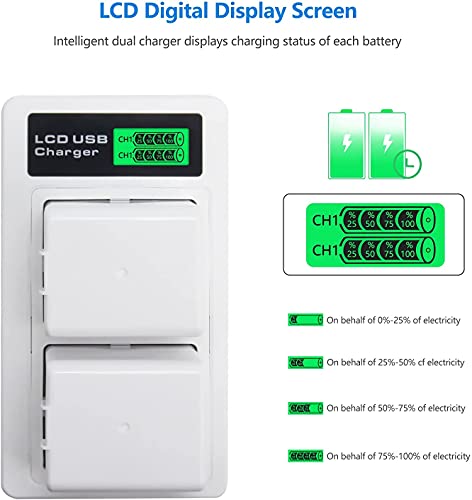REYTRIC 2-Pack Batteries Compatible with Arlo Pro, Arlo Pro 2 (VMA4400), Upgraded 7.2V Rechargeable Lithium Li-ion Batteries Pack with Dual LCD Charger