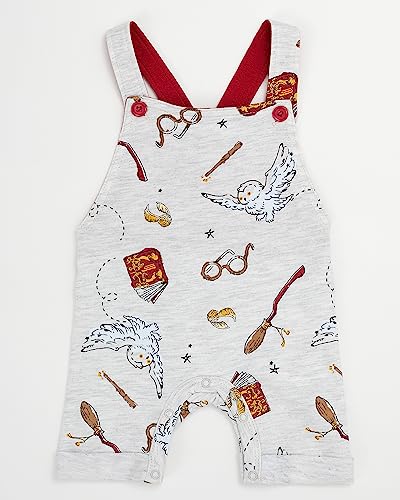 Harry Potter Baby Boys T-Shirt and Shortall Romper Set Gifts Baby Clothes (Burgundy, 18 Months)