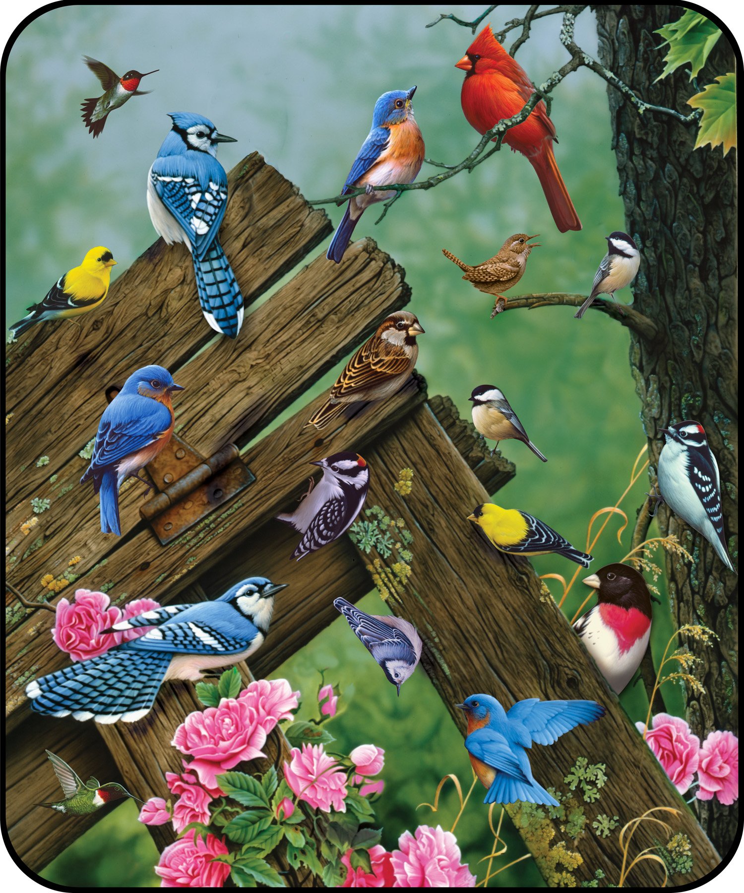 Everydayspecial Songbirds JQ Licensing Super Soft Flannel Throw Blanket with Sherpa Lining 50"x60"