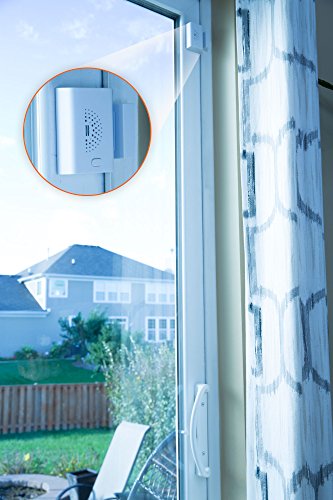 Wally Starter Kit for Smart Detection of Water Leaks, Freezing, and Mold Conditions