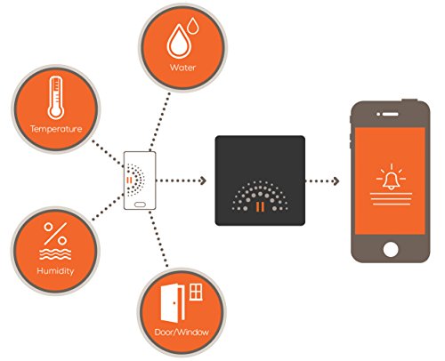 Wally Starter Kit for Smart Detection of Water Leaks, Freezing, and Mold Conditions