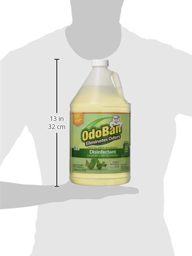 OdoBan Professional Disinfectant and Odor Eliminator Concentrate, 1 Gallon, Original Eucalyptus Scent