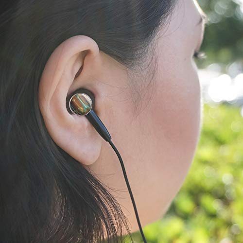 GRAPHICS & MORE Guitars Electric Acoustic Rock and Roll Wood Paneling Novelty in-Ear Earbud Headphones