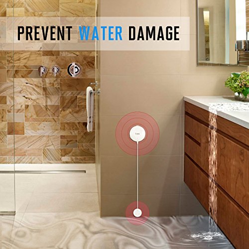 iView S300 WiFi Water Sensor DIY Flood and Water Leak Detector Detachable Sensor, Sound & APP Alert Long Lasting Battery