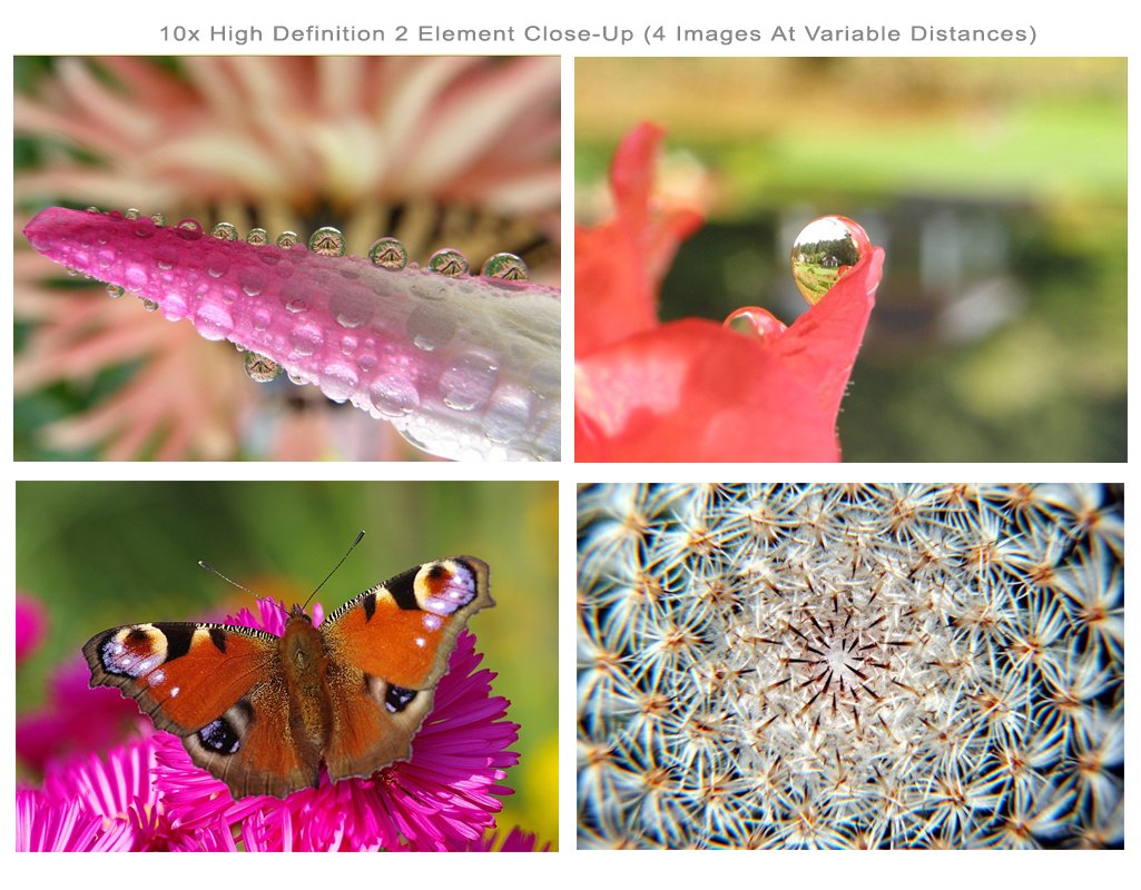 Canon EOS Rebel XT 10x High Definition 2 Element Close-Up (Macro) Lens (58mm)