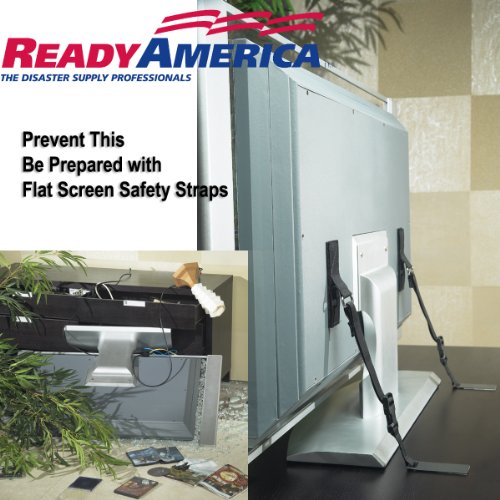 Ready America 4521 Universal Flat Screen Safety Straps , Black