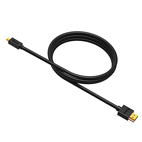 iBirdie Micro HDMI to HDMI Cable 10 Feet - High Speed 18Gbps Support 4K60 HDR ARC Compatible with GoPro Hero 7 6 5 4, Raspberry Pi 4, Camera A6000 A6300 B500, Lenovo Yoga 3 Pro, Yoga 710
