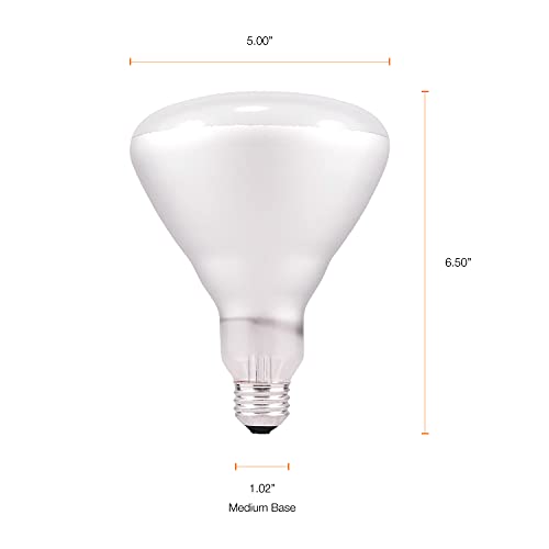 SYLVANIA Incandescent 65W BR40 Flood Light Bulb, 540 Lumens, 130 Volt, E26 Medium Base, 2850K, Warm White - 6 Pack (15679)