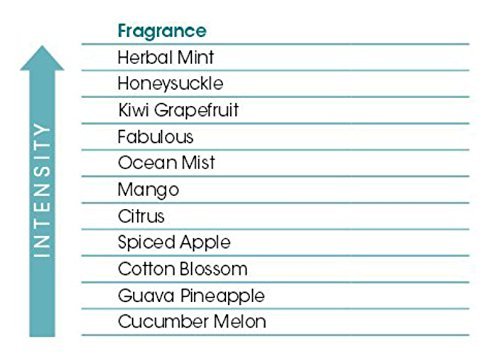 Easy Fresh Air Freshener | Fragranced Cover Refill | Freshens Consistently For 30 Days | Battery Included | 100% Recyclable | Mango | 2 Pack
