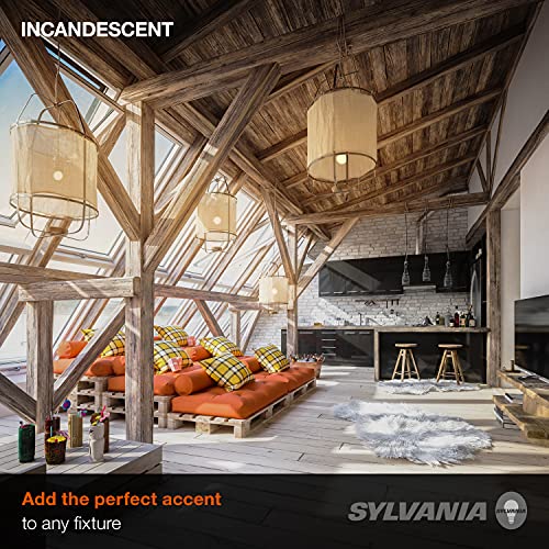 LEDVANCE Sylvania 16144 DOUBLELife G25 Light Bulb 2850K 24, Warm White