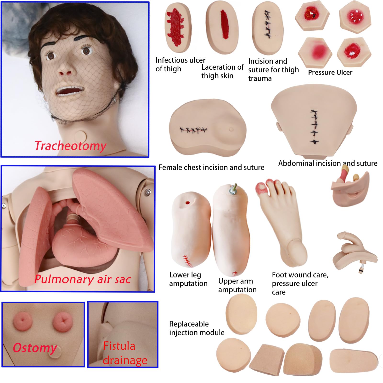 PreAsion Training Manikin Model Trauma Model Anatomical Human Model Demonstration Manikin Patient Care for Nursing Female-Male Wound Training Mannequin Patient Care Education Teaching 63’’Life-Size