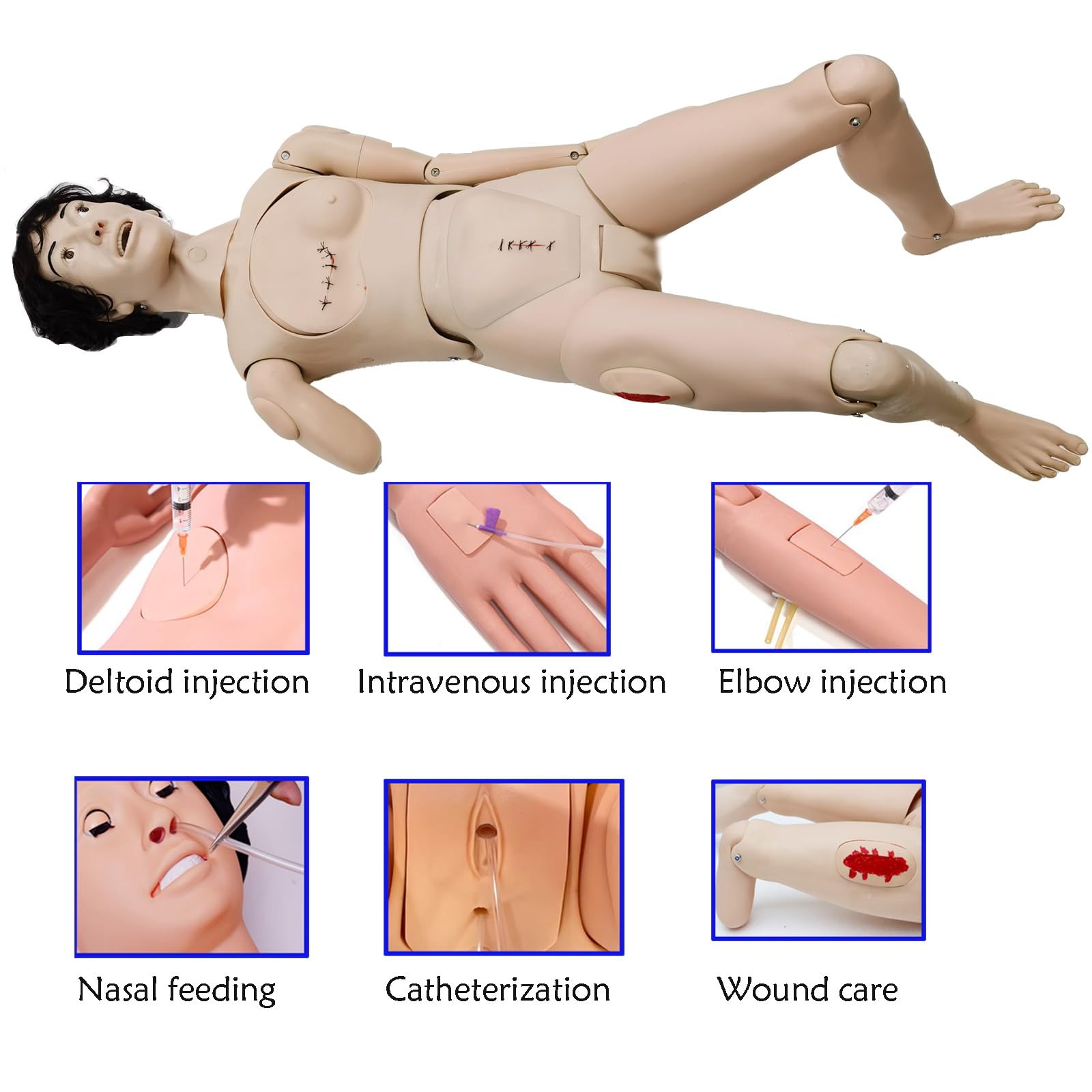 PreAsion Training Manikin Model Trauma Model Anatomical Human Model Demonstration Manikin Patient Care for Nursing Female-Male Wound Training Mannequin Patient Care Education Teaching 63’’Life-Size
