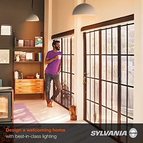 LEDVANCE Sylvania Vintage Filament LED Light Bulb, 60W = 6.5W, Dimmable, 13 Year, Amber Finish, 650 Lumens, 2175K, Amber Glow - 4 Pack (40063)