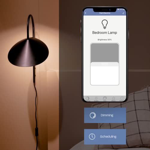 Feit Electric ST1960/FIL/AG 60 Watt Equivalent WiFi Dimmable, No Hub Required, Alexa or Google Assistant ST19 Edison Vintage LED Smart Light Bulb, 5.4" H x 2.5" D, 2100K Amber