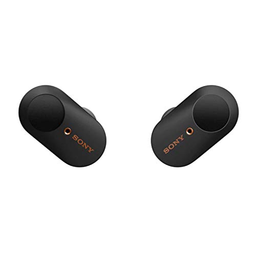 Sony WF-1000XM3 True Wireless Noise-Canceling Earbud Headphones with Charging Case (Black) Bundle with Hard EVA Travel Case and Noise Isolating Memory Foam Tips (3 Items)