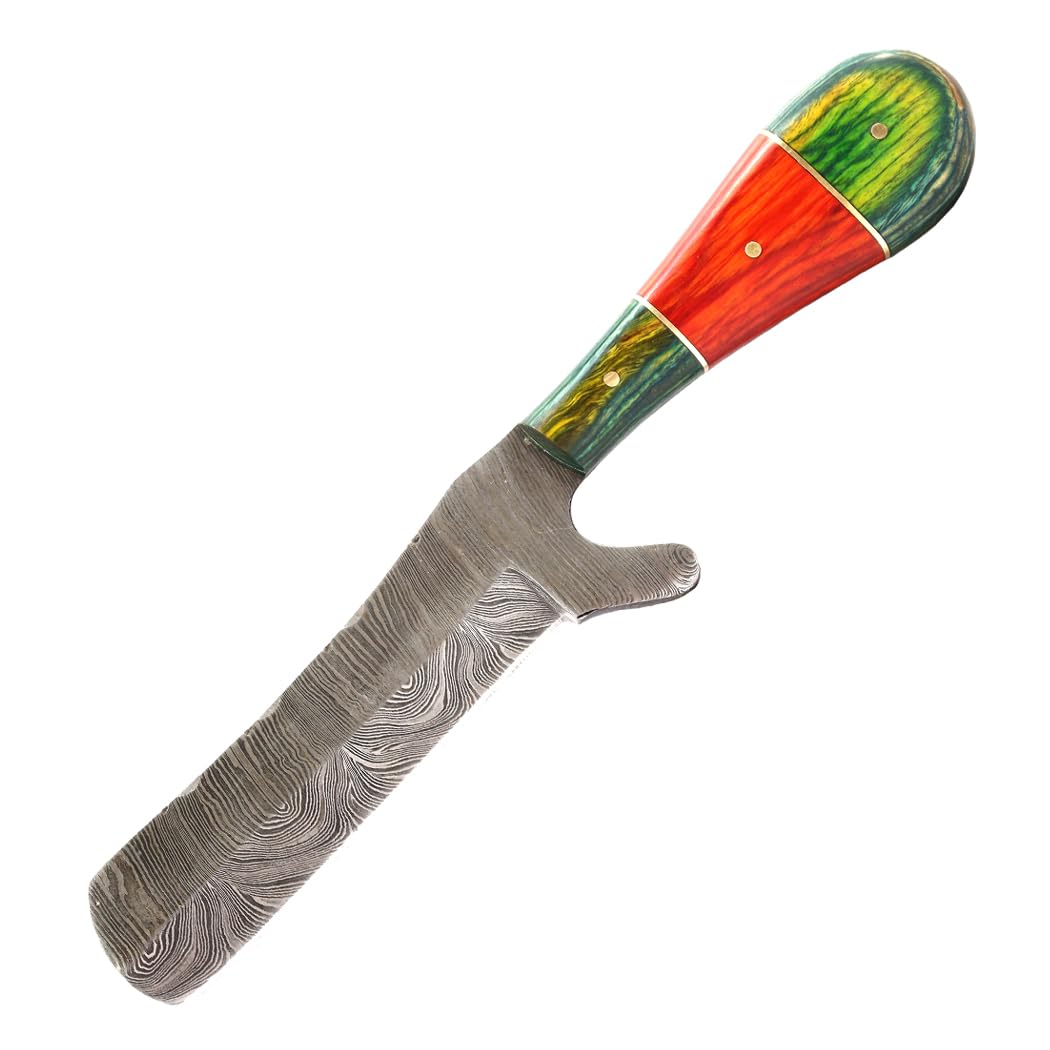 THE BONE EDGE 7.5" Green & Red Wood Handle Hunting Knife Hand Made Knives
