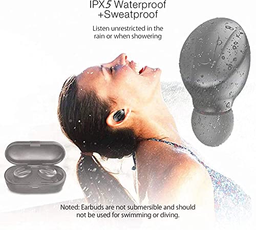 Hoseili Bluetooth Headphones, Bluetooth 5.0 Wireless Earphones in-Ear Stereo Sound Microphone Mini Wireless Earbuds with Headphones and Portable Charging Case for iOS Android PC