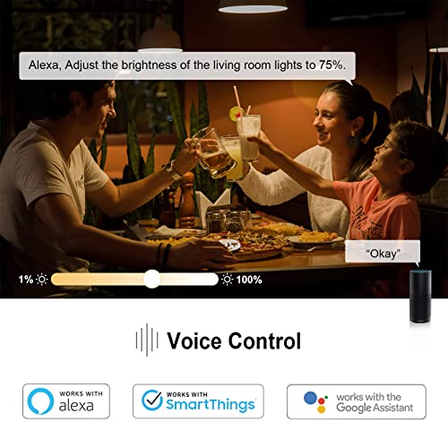 3-Way Smart WiFi Dimmer Light Switch, in-Wall, No Hub Required, Compatible with Alexa and Google Home, ETL and FCC Listed(WF31S)