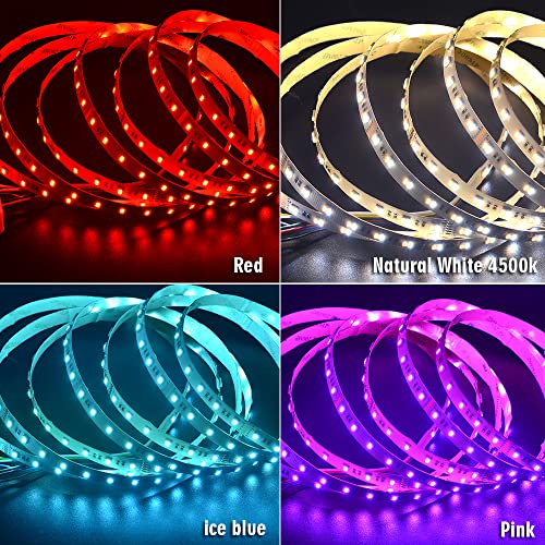 24VDC RGB+CCT 5 Chips in 1 Super Bright LEDs Flexible LED Strip Lights, High CRI 85 Color Changing+Tunable White Non-Waterproof 5050 RGBWW LED Tape Lights, 300LEDs 16.4feet Roll for Home Lighting