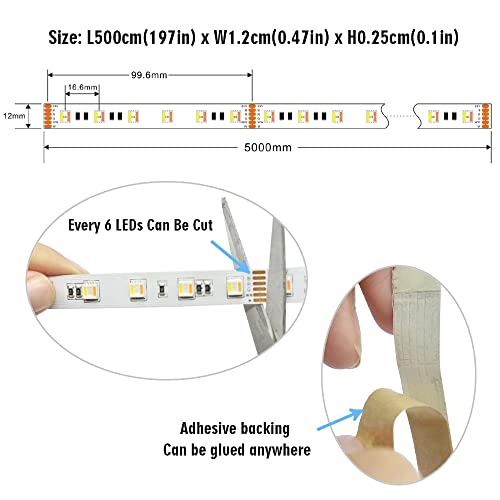 24VDC RGB+CCT 5 Chips in 1 Super Bright LEDs Flexible LED Strip Lights, High CRI 85 Color Changing+Tunable White Non-Waterproof 5050 RGBWW LED Tape Lights, 300LEDs 16.4feet Roll for Home Lighting