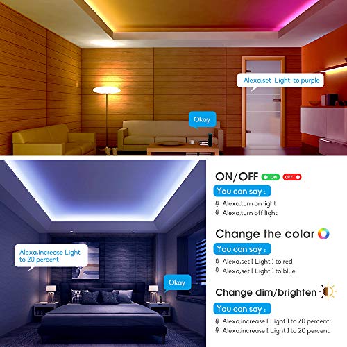 Smart WiFi RGBW LED Controller 2-Output 5 Pin with 24-Key Remote,Compatible with Alexa&Google Assistant,Voice/APP/Music Control Strip Lights for Android/iOS System,WiFi LED Controller Only(New)