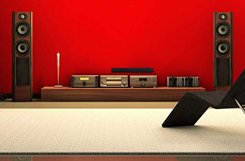 RGTech Monarch Indoor AM/FM Antenna, True 60 Mile Range Multidirectional Reception Radio Antenna