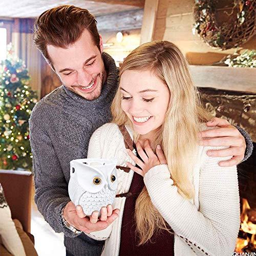 LDYAN Owl Holder Stand, Owl Statue Smart Speaker Holder Stand for Echo Dot 4th/3rd/2nd and 1st Generation, Google Home Mini/Google Nest Mini (2nd Gen),Cartoon Decor Owl Shape Home Decor - White