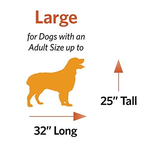 MidWest Homes for Pets Ultima Pro Series 42' Dog Crate | Extra-Strong Double Door Folding Metal Dog Crate w/Divider Panel, Floor Protecting 'Roller Feet' & Leak-Proof Plastic Pan