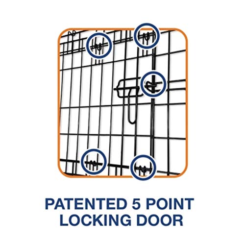 Precision Pet Products Two Door Provalue Wire Dog Crate, 42 Inch, For Pets 70-90 lbs, With 5-Point Locking System