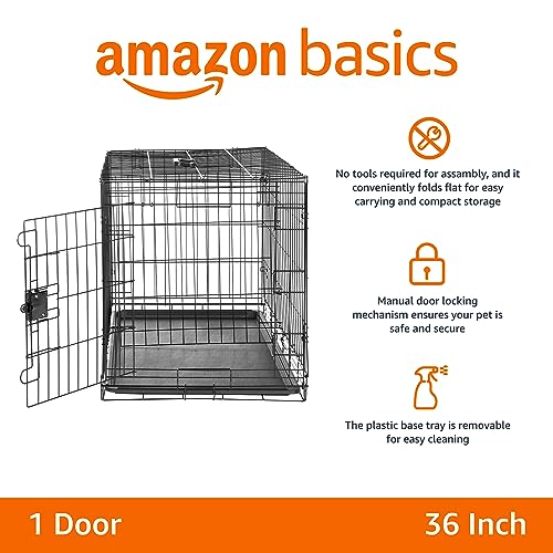 Amazon Basics Durable, Foldable, Collapsible, Portable Metal Wire Dog Crate with Tray, Single Door with Divider Panel, Easy to Assemble & Clean, 36 x 23 x 25 in, Black