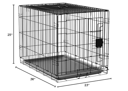 Amazon Basics Durable, Foldable, Collapsible, Portable Metal Wire Dog Crate with Tray, Single Door with Divider Panel, Easy to Assemble & Clean, 36 x 23 x 25 in, Black