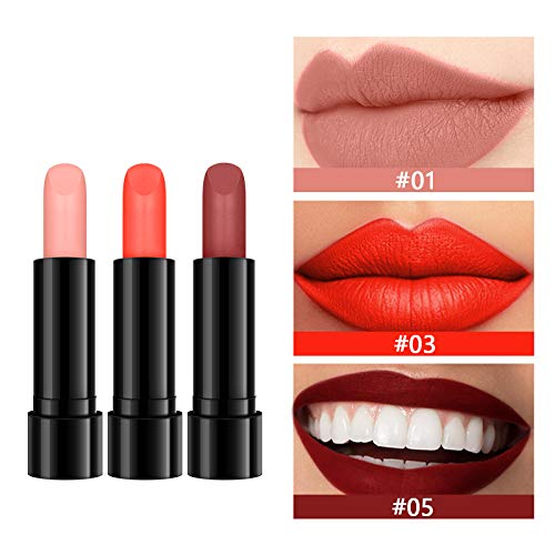 Pure Vie All-in-One Holiday Gift Makeup Set Cosmetic Essential Starter Bundle Include Eyeshadow Palette Lipstick Concealer Blush Mascara Foundation Face Powder - Makeup Kit for Women Full Kit