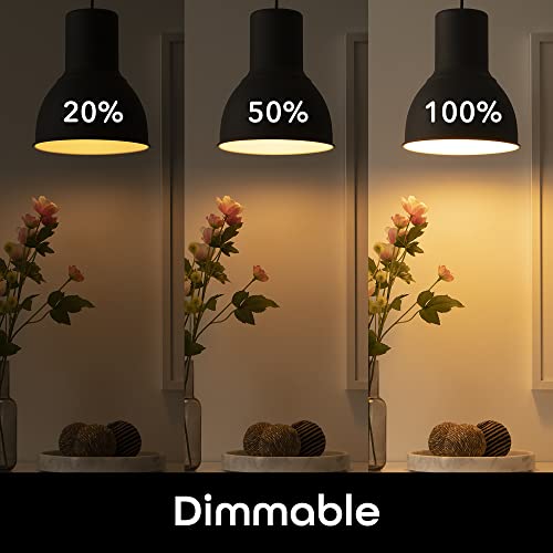 Geeni Prisma 800 2700K Dimmable A19, 60W Equivalent Color Changing RGBW LED Smart WiFi Light Bulb, Works with Alexa and Google Home, No Hub Required, Requires 2.4GHz WiFi (2 Pack)