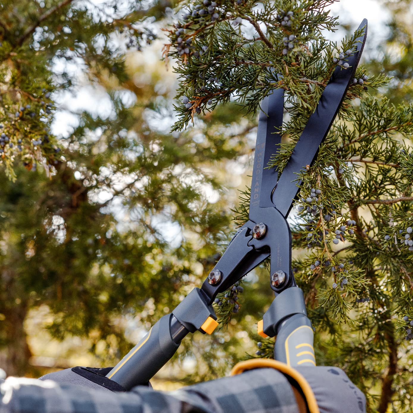 Woodland Tools Co. Super Duty MaxForce Hedge Shear β 23" High Carbon Steel Blades with Gear Amplified Cutting Power, Ergonomic U-Shape Design