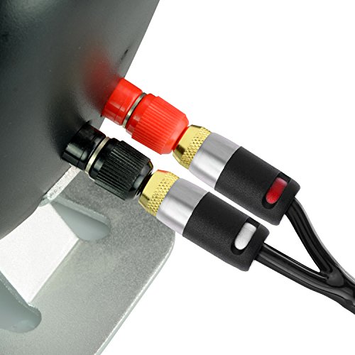 Mediabridge™ 16AWG Ultra Series Speaker Cable with Dual Gold Plated Banana Tips (6 Feet) - CL2 Rated - High Strand Count Copper (OFC) Construction - Black [New & Improved Version] (Part# SWT-06B)