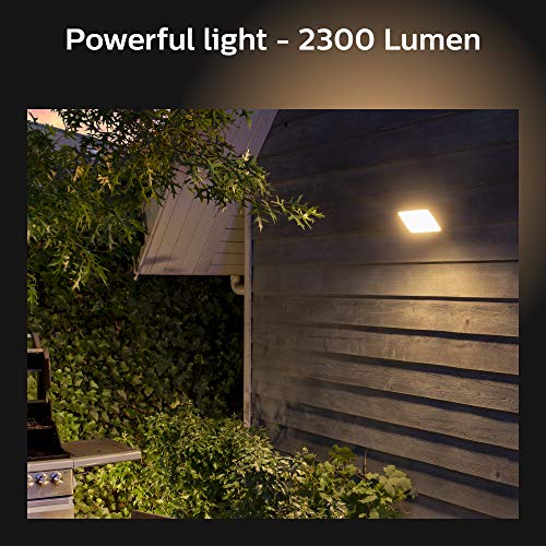Philips Hue Discover Outdoor White & Color Ambiance Smart Floodlight (Hue Hub Required, Smart Light Works with Alexa, Apple Homekit and Google Assistant)