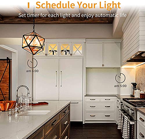 Refoss Smart Bulbs Works with Apple HomeKit, Color Changing Smart Light Bulbs Compatible with Siri, Alexa and Google Home, A19 LED Bulb, E26 Fitting, 2700K-6500K Dimmable, 9W 810 Lumens,1 Pack