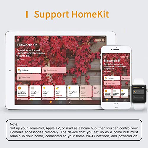 Refoss Smart Bulbs Works with Apple HomeKit, Color Changing Smart Light Bulbs Compatible with Siri, Alexa and Google Home, A19 LED Bulb, E26 Fitting, 2700K-6500K Dimmable, 9W 810 Lumens,1 Pack